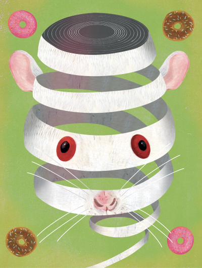 Flipping a Switch Inside the Head - Seek : Seek