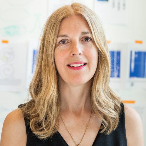 Live-cell imaging in your pocket - Seek : Seek