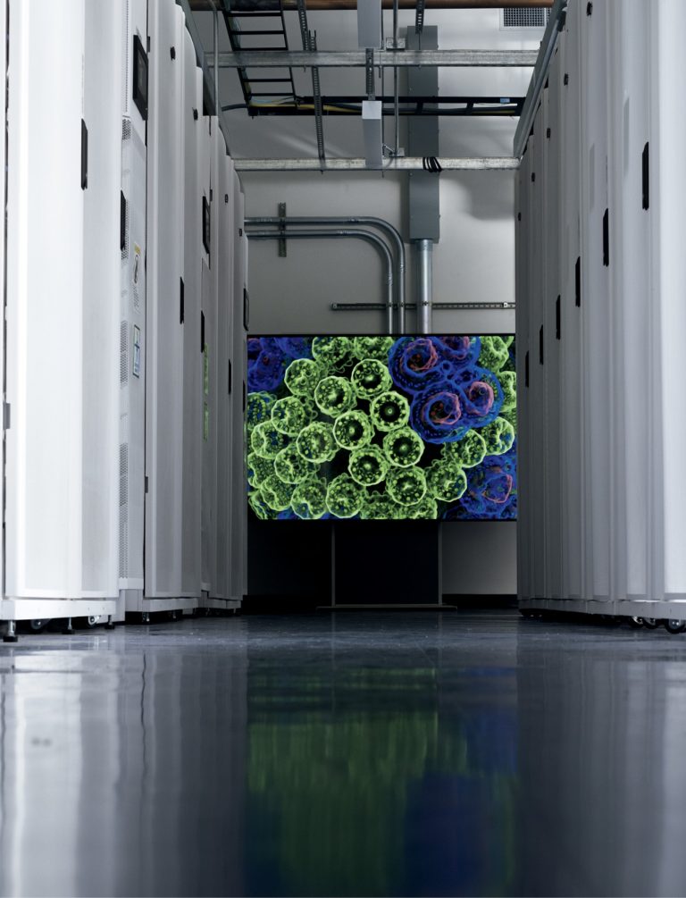 Live-cell imaging in your pocket - Seek : Seek