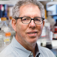 Flipping a Switch Inside the Head - Seek : Seek