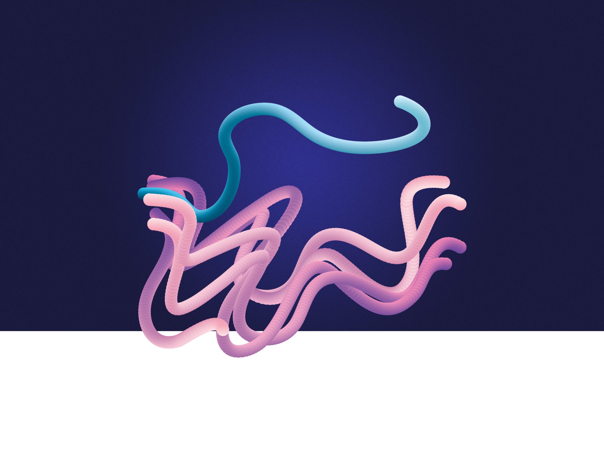 Cori Bargmann - Seek : Seek