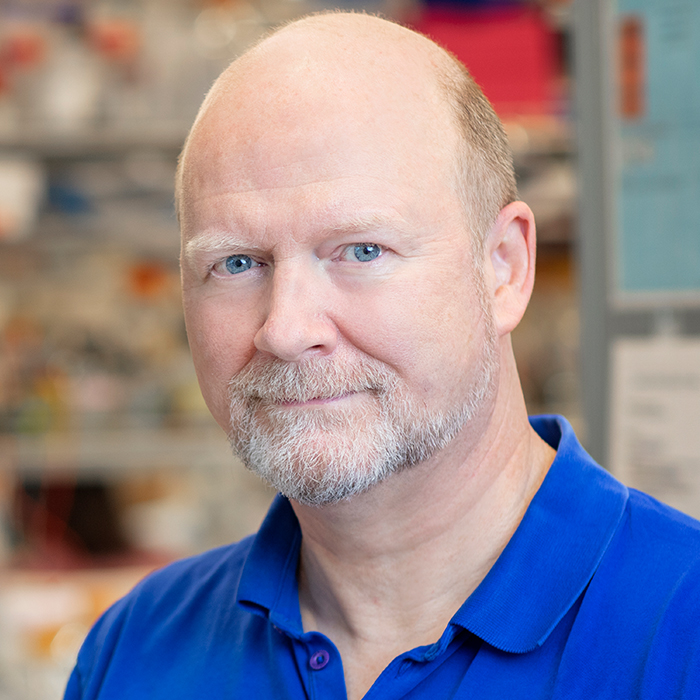 Michael P. Rout - Seek : Seek