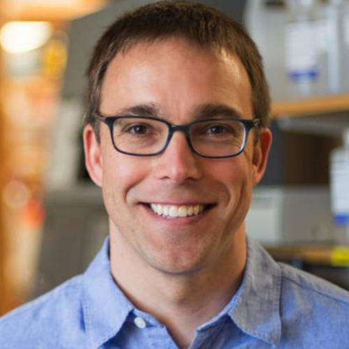 How misfolded proteins get into shape : Seek
