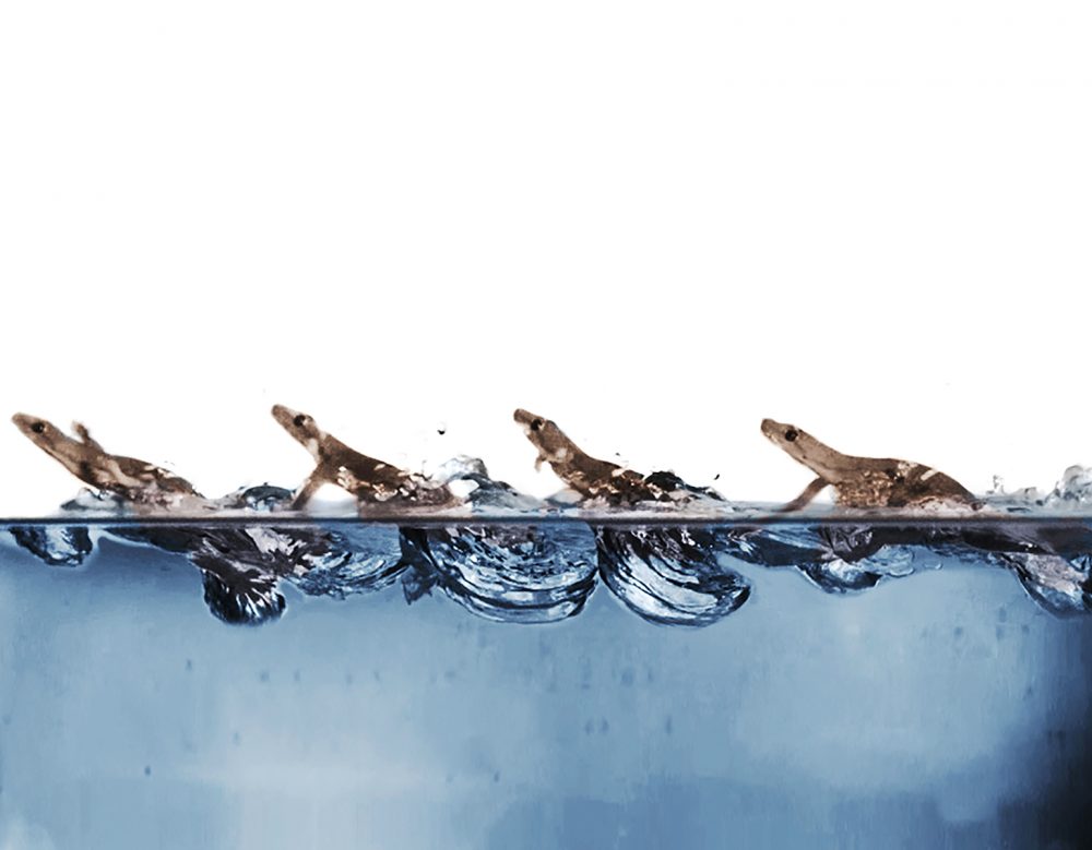 The new River Campus, unveiled : Seek