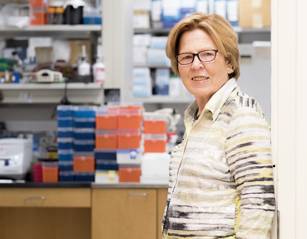 The new River Campus, unveiled : Seek