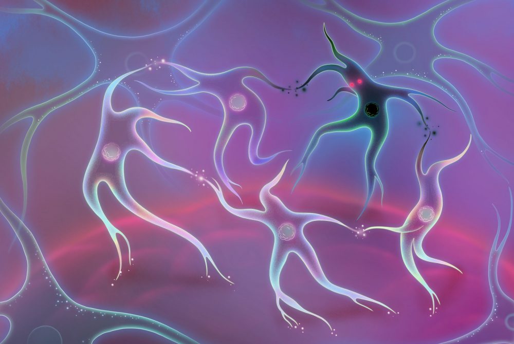 When zombies take over the brain : Seek