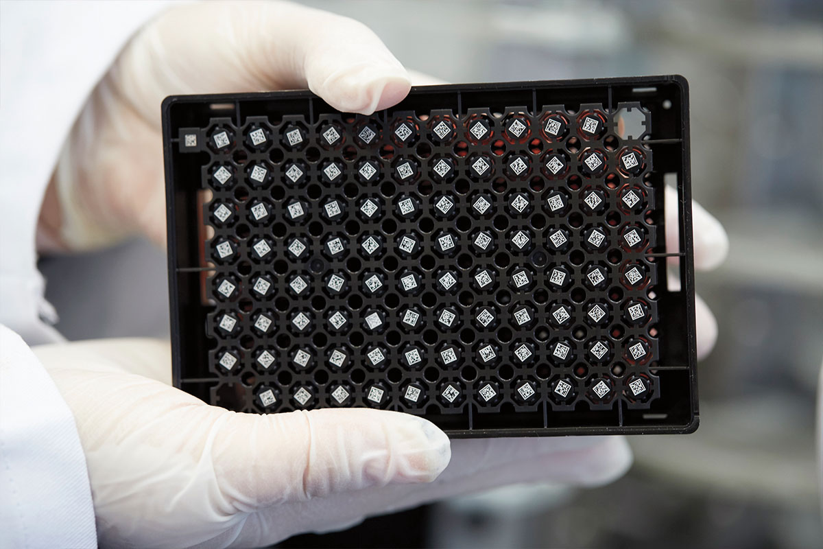 Building a better COVID test - Seek : Seek