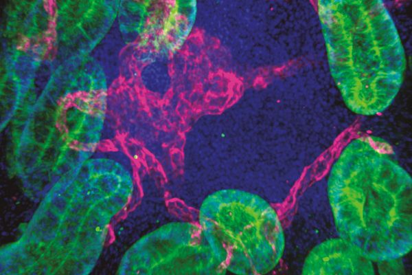 Rachel Niec - Seek : Seek