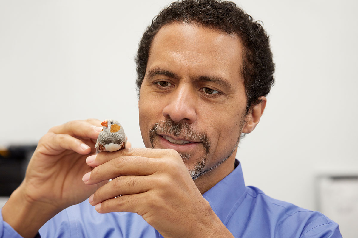 Repeat after me : Seek