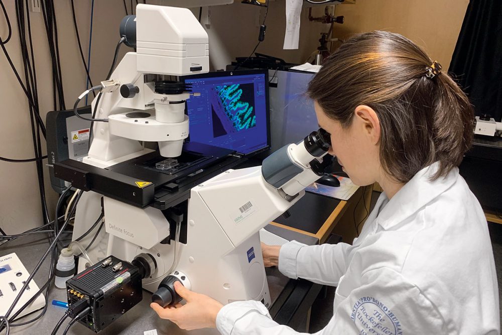 Rachel Niec - Seek : Seek