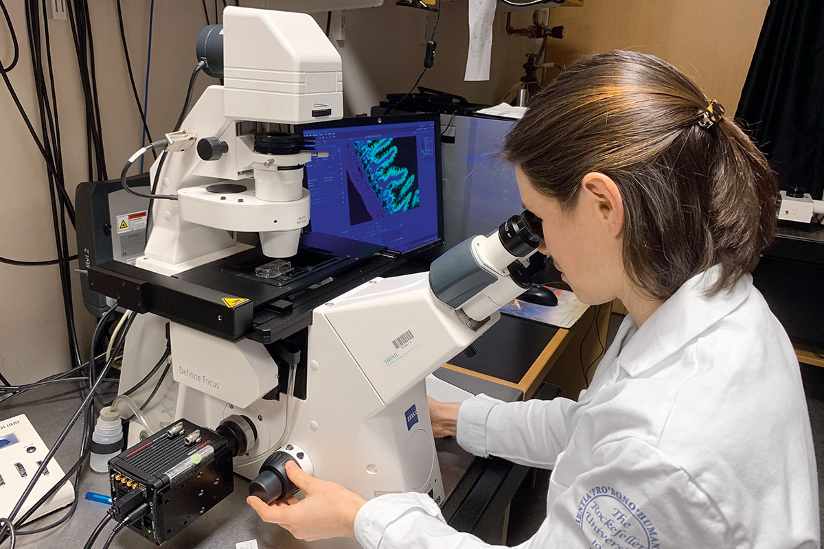 Rachel Niec - Seek : Seek