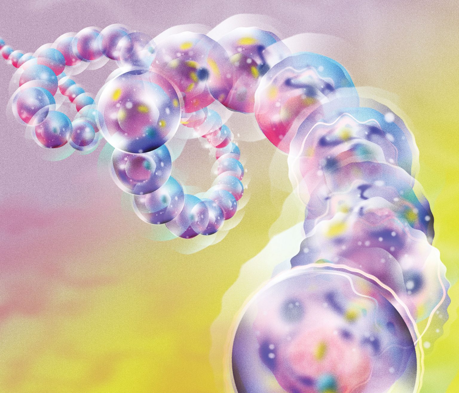 Robin Chemers Neustein Laboratory of Mammalian Cell Biology and ...