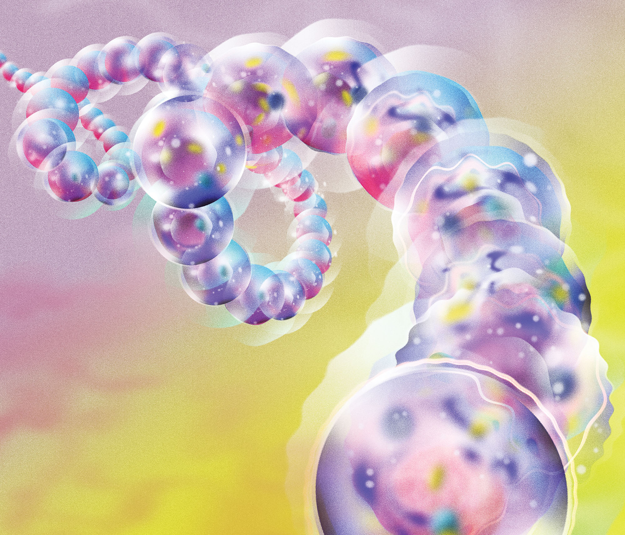 Stem Cells Are Growing Up : Seek