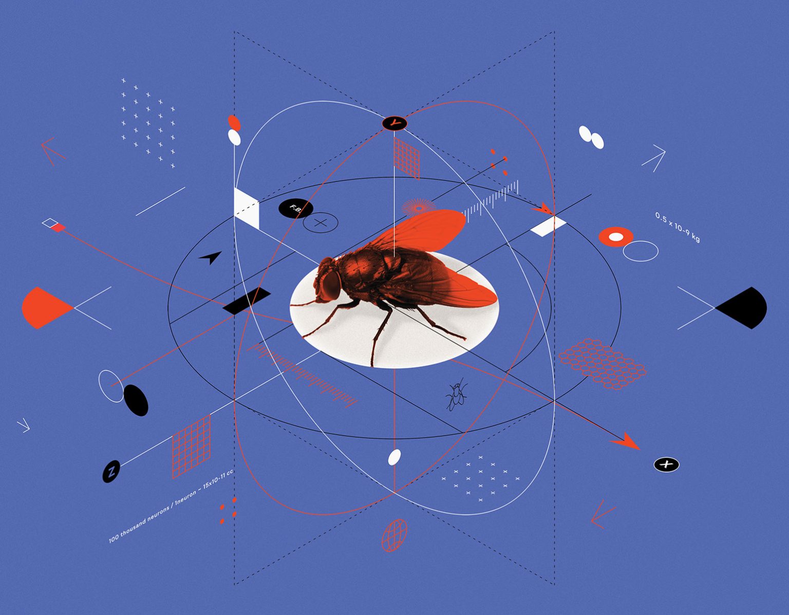 Math on the fly : Seek