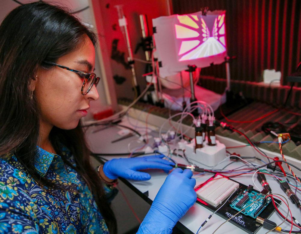 Math on the fly : Seek