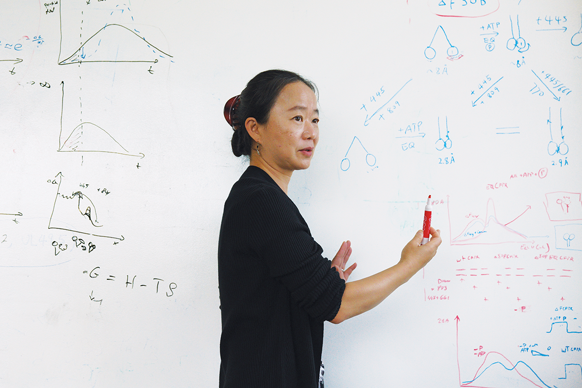 The shape of things to come : Seek