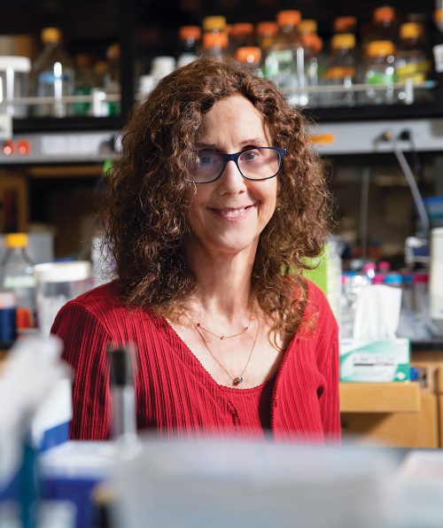 How to end a pandemic in one jab - Seek : Seek