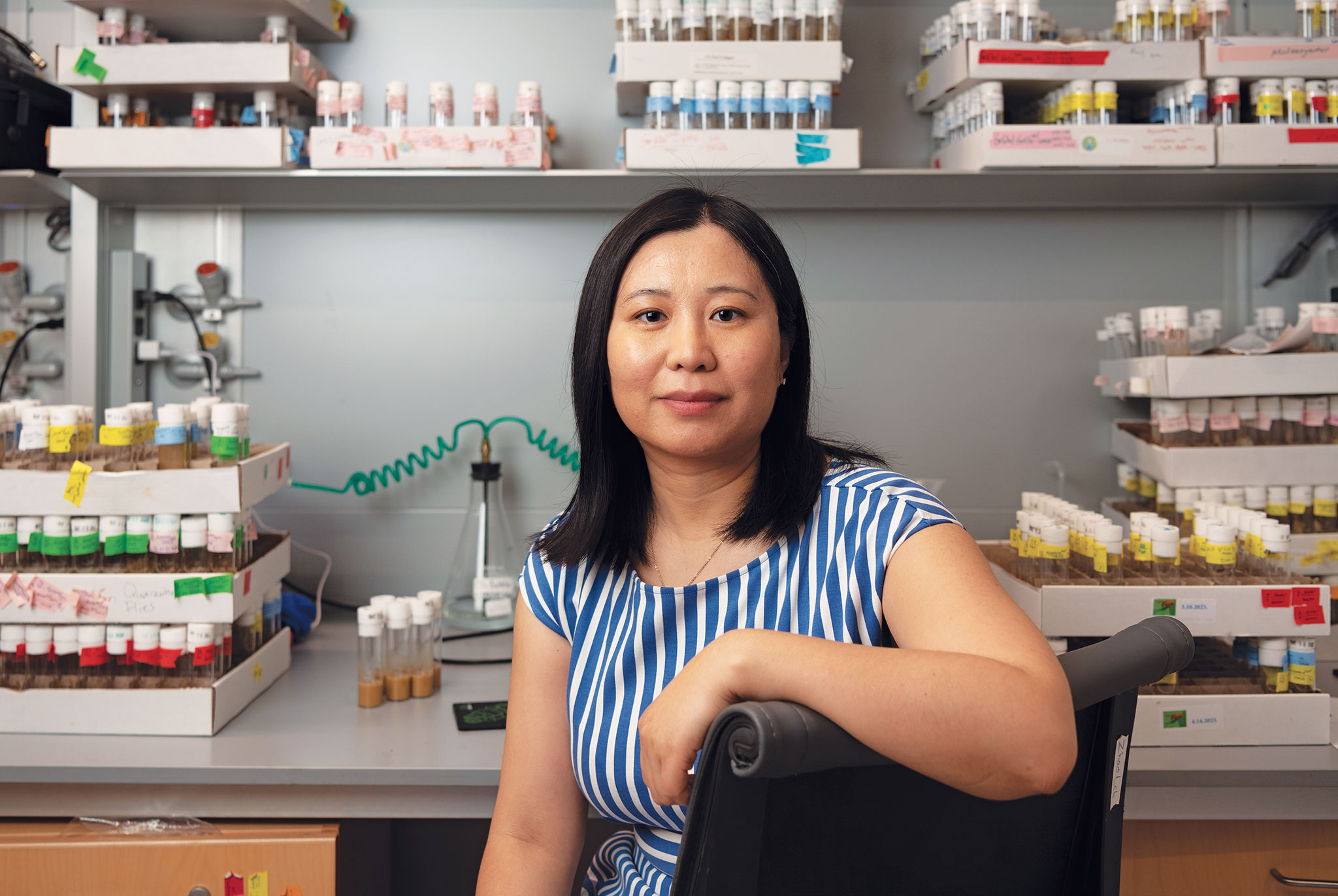 The rapid evolution of de novo genes - Seek : Seek