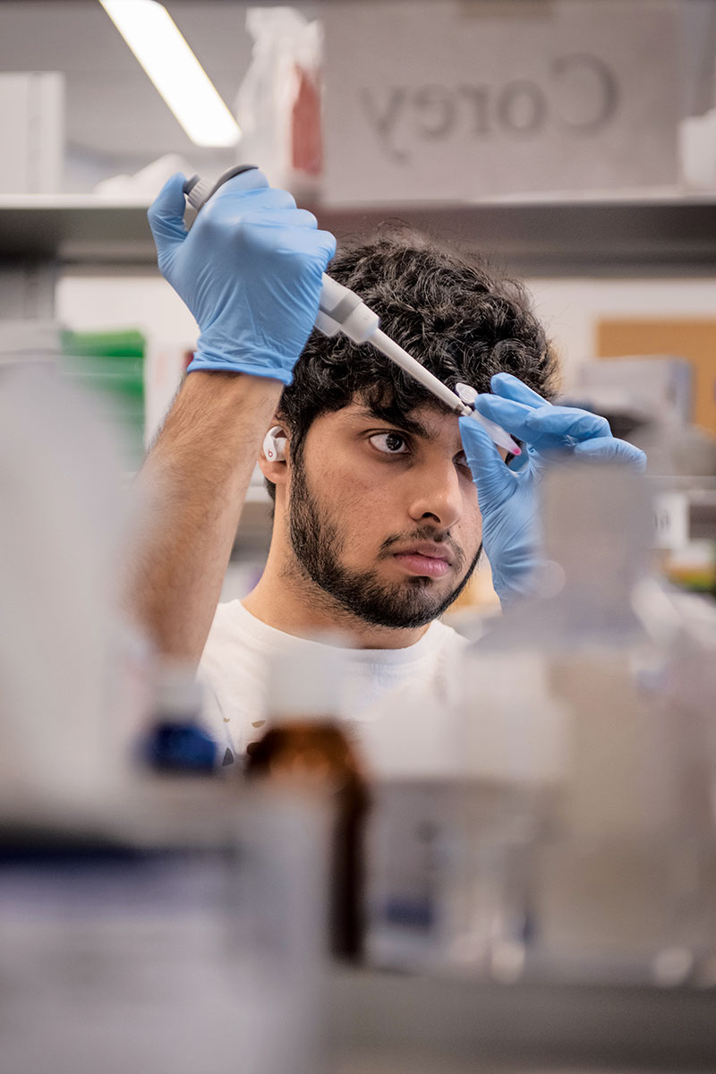 Will science end obesity? : Seek