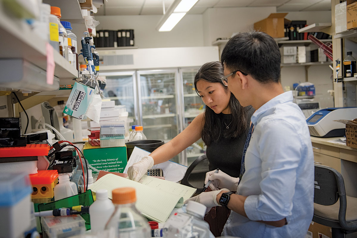 Will science end obesity? : Seek