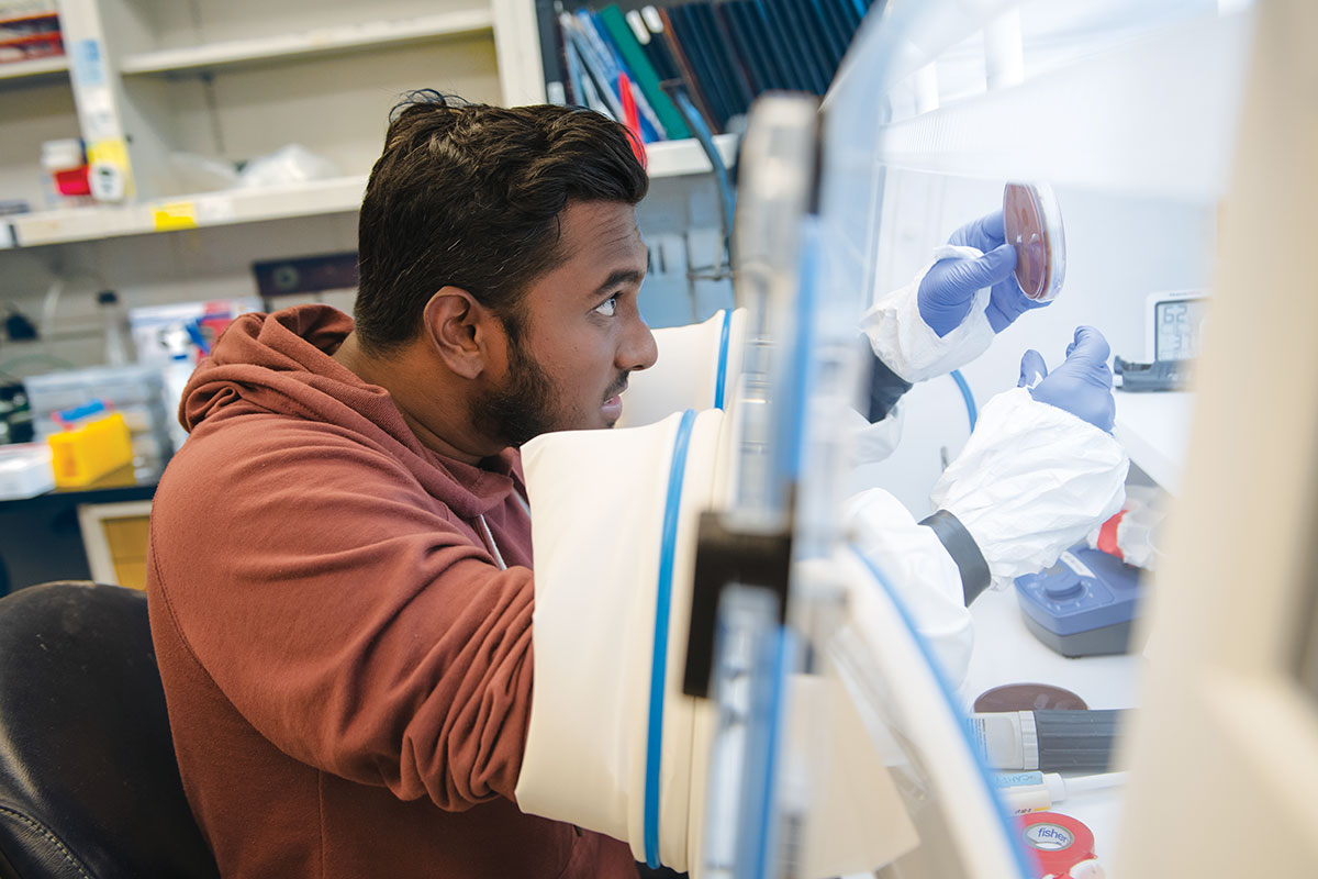 Upping our game : Seek