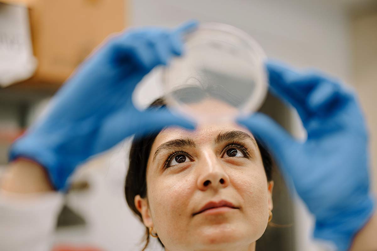 Lab Partners - Seek : Seek