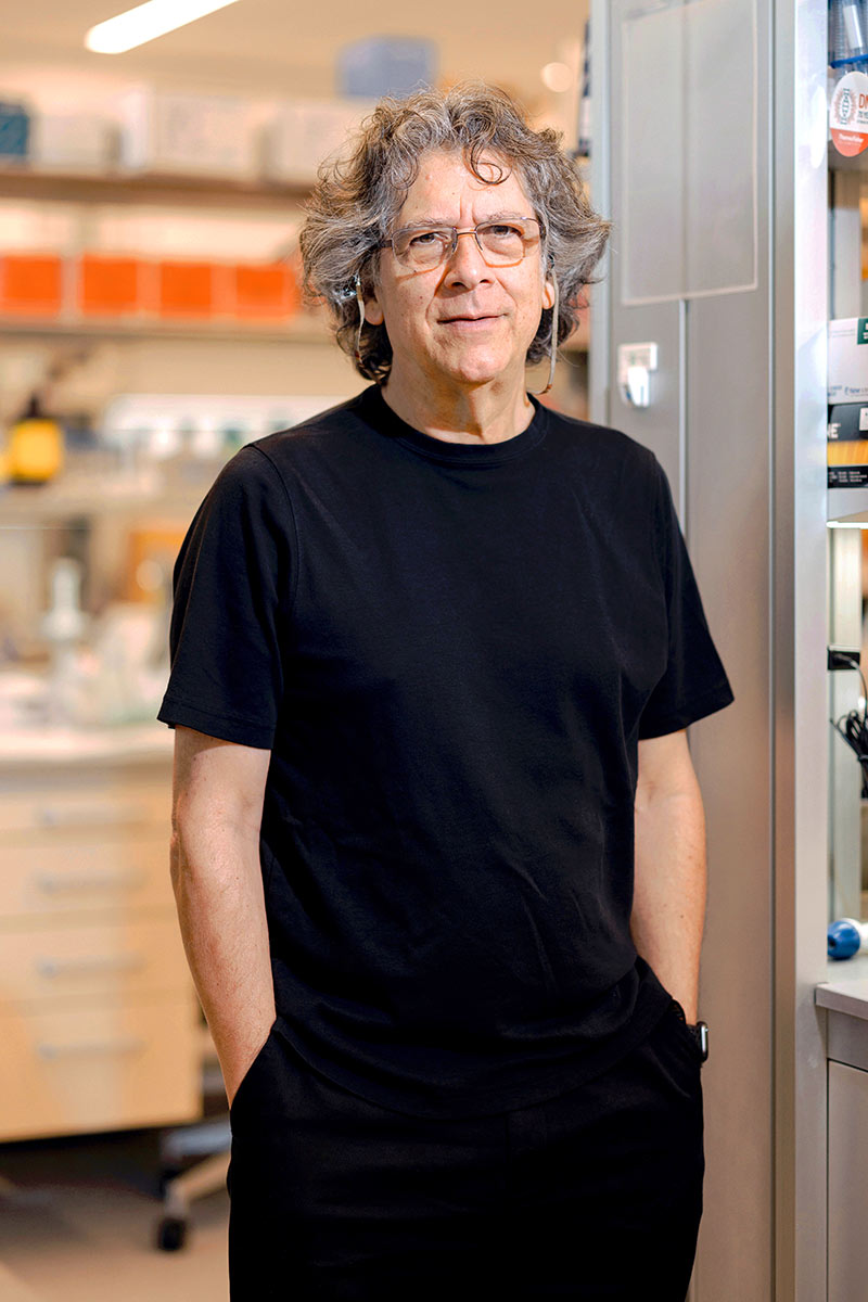 Lab Partners - Seek : Seek