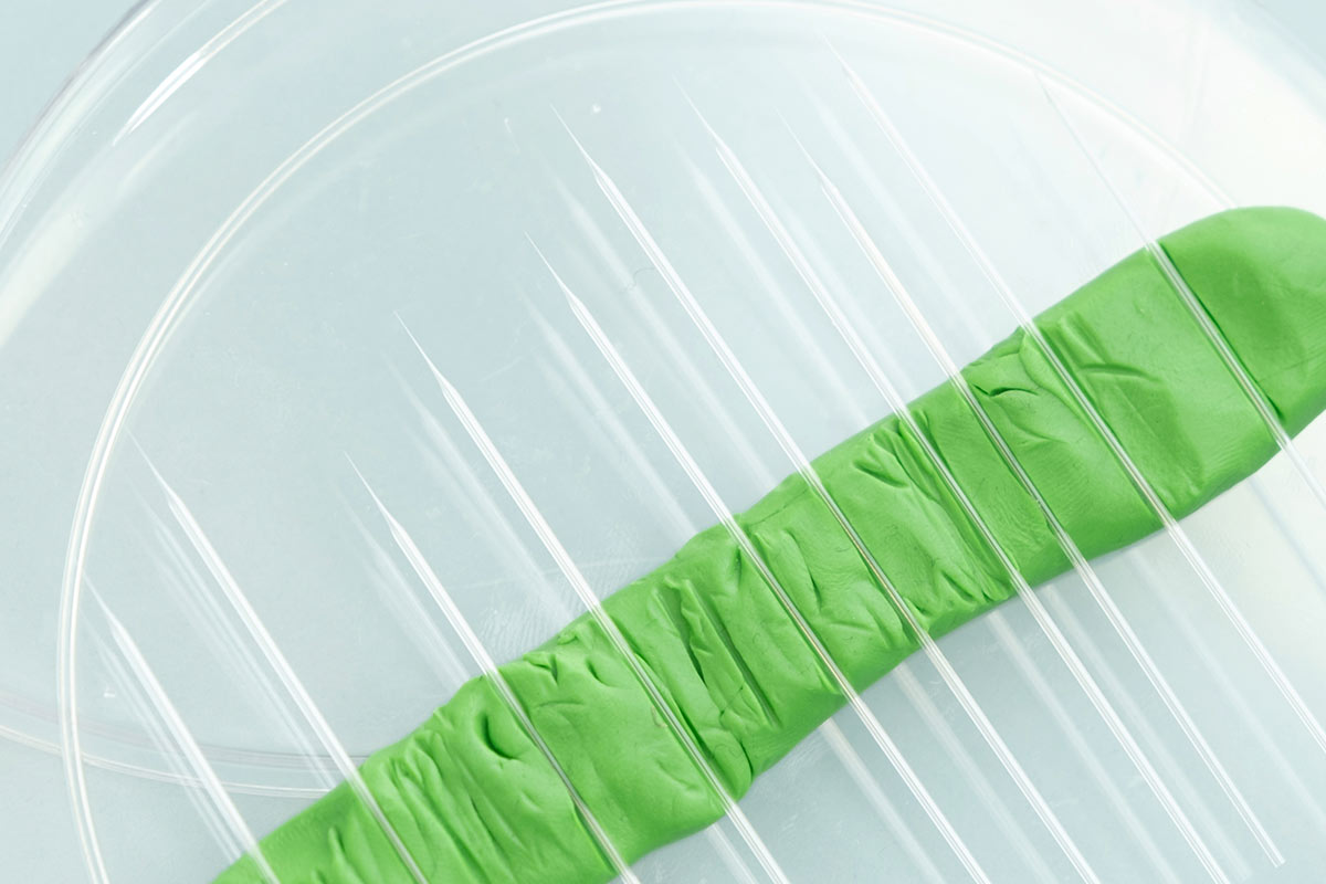 A transformative moment for RNA - Seek : Seek