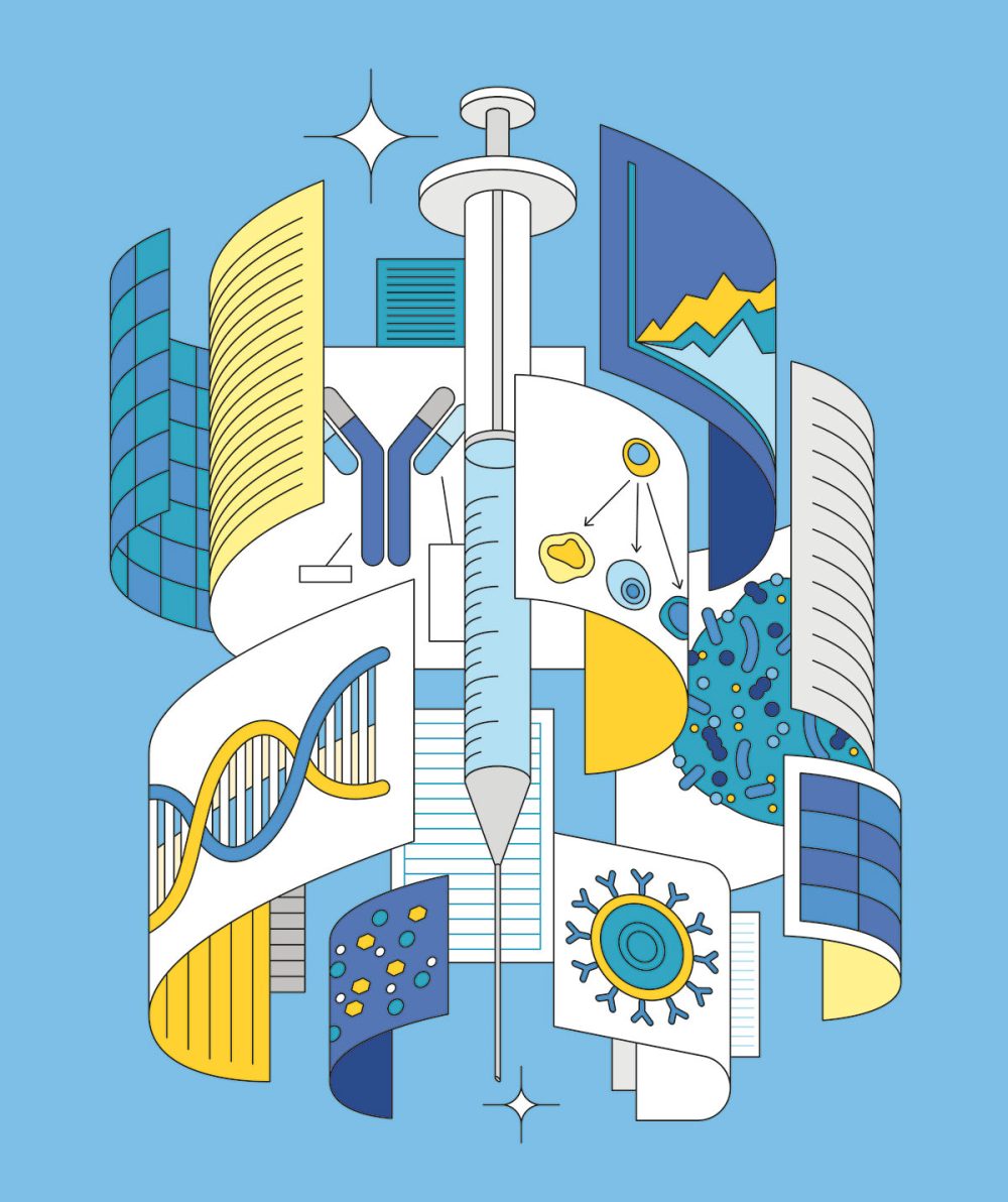 How basic biology helps build better vaccines - Seek : Seek